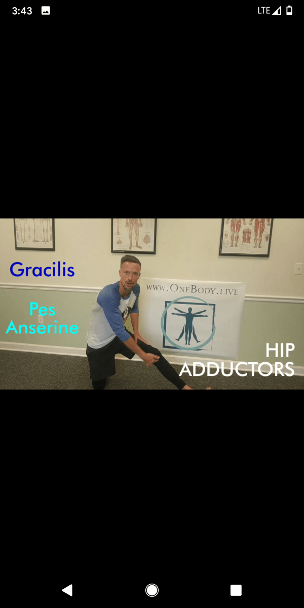 The Dynamic Star: Full Body Mobilization From Groin, Hamstring, Hips to ...